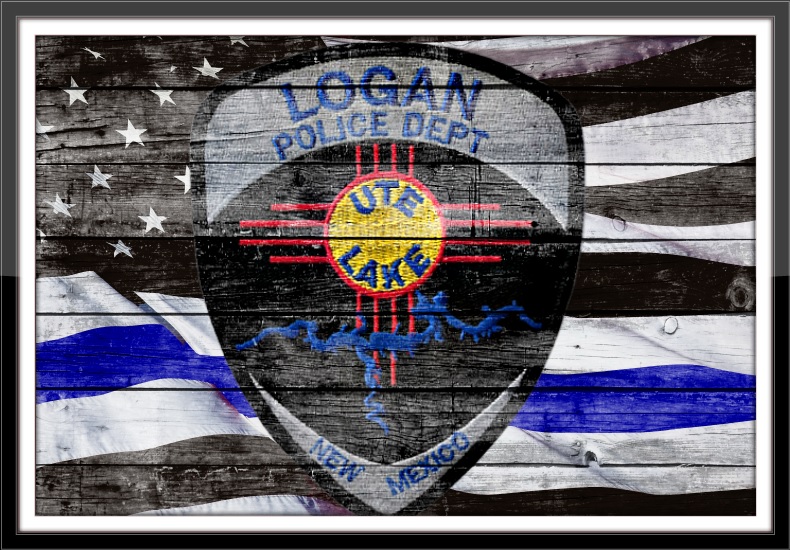 VILLAGE OF LOGAN POLICE - Partner Portal